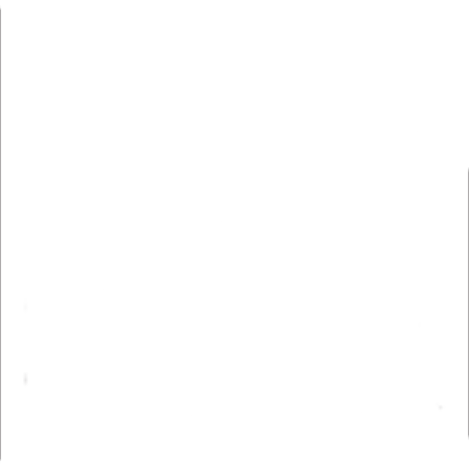 RedZed Logo